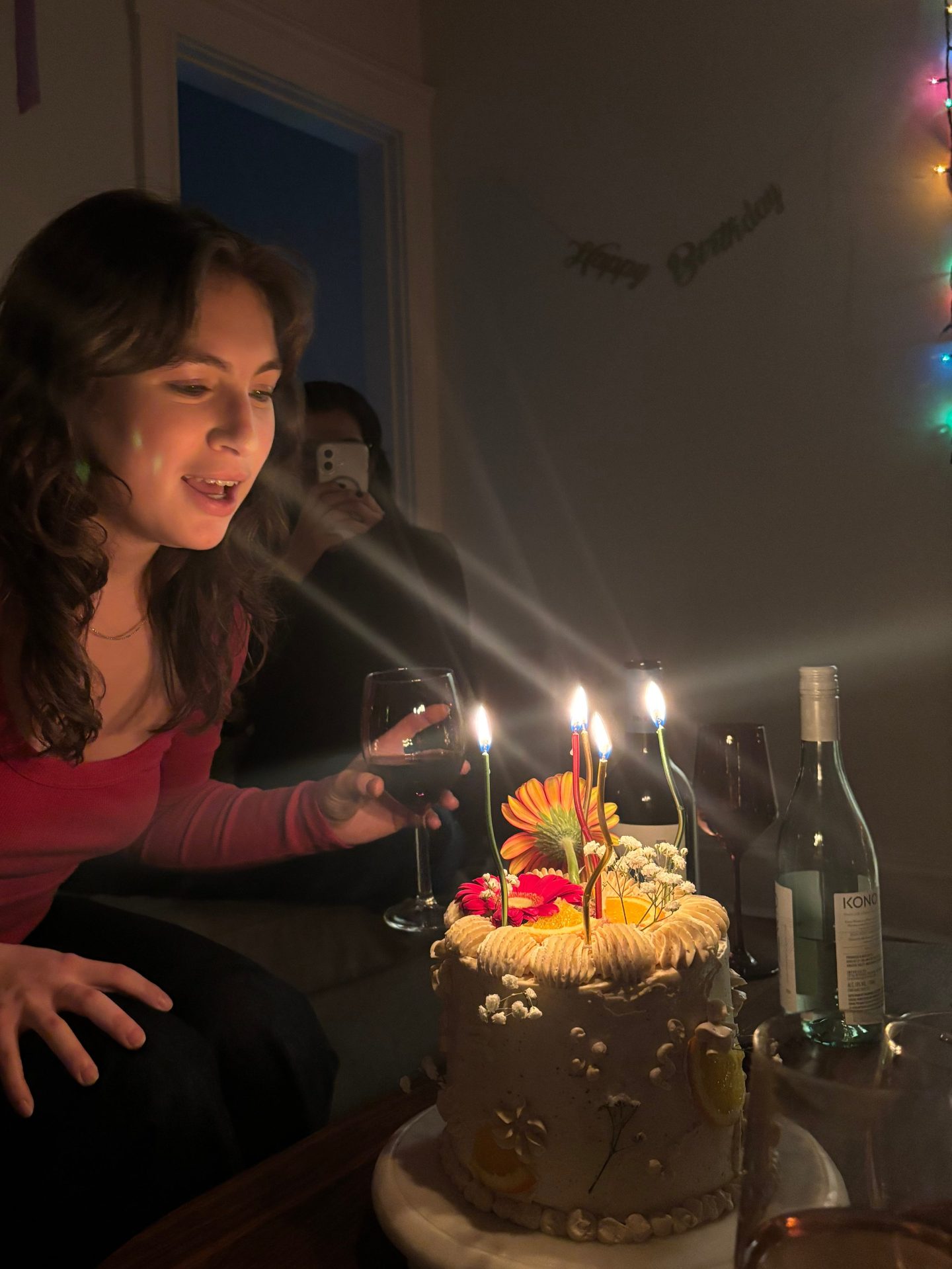 TTI: the time i went beast mode on a cake – slothinscrubs